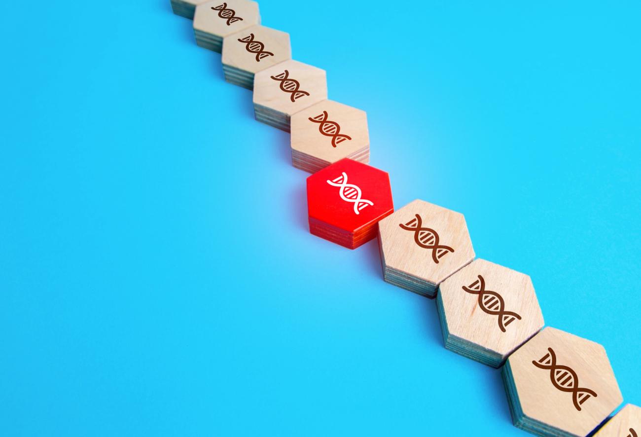 The genetic findings reveal the reason for the exceptionally high ...